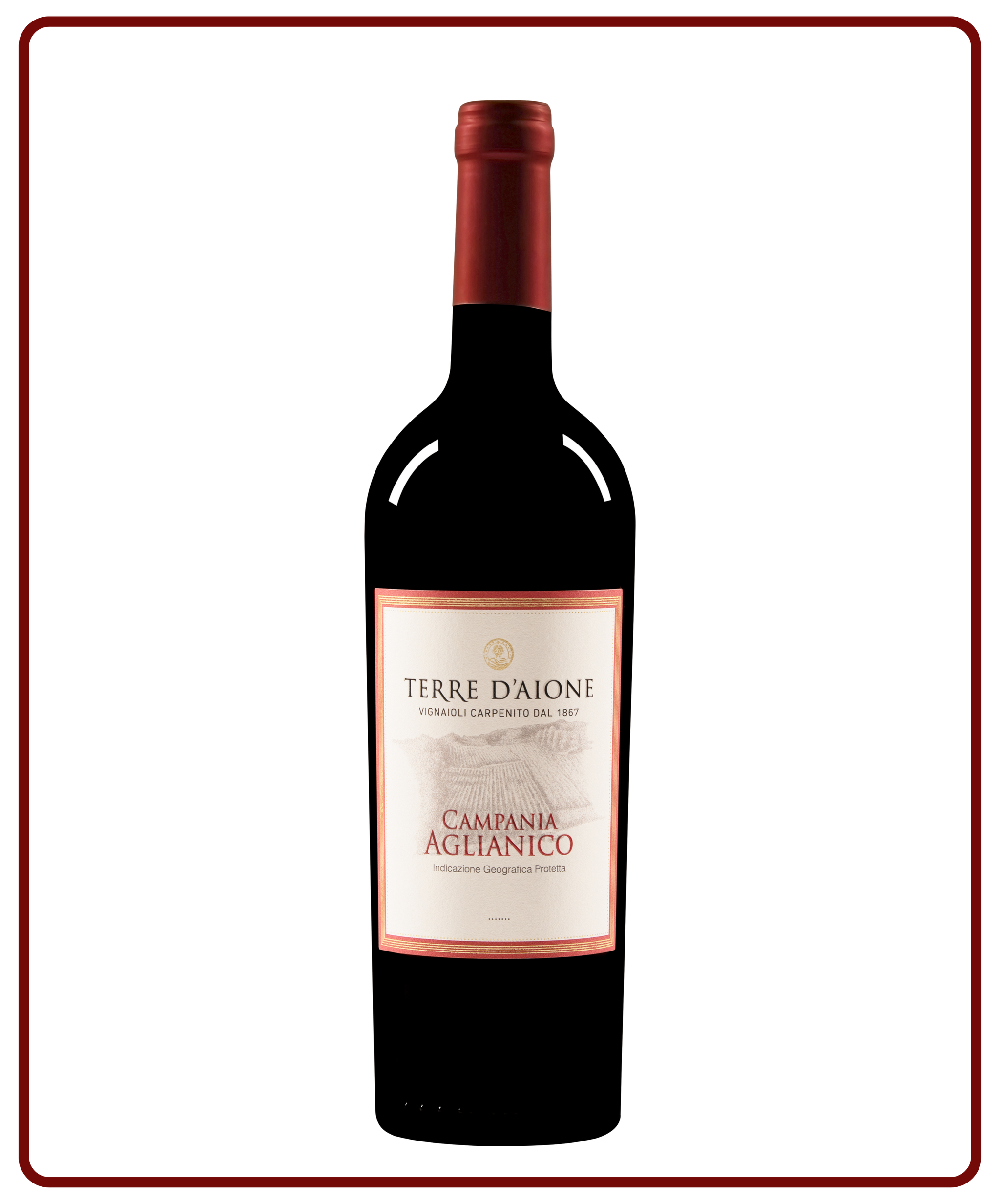 Campania Aglianico I.G.T. – Terre D'aione